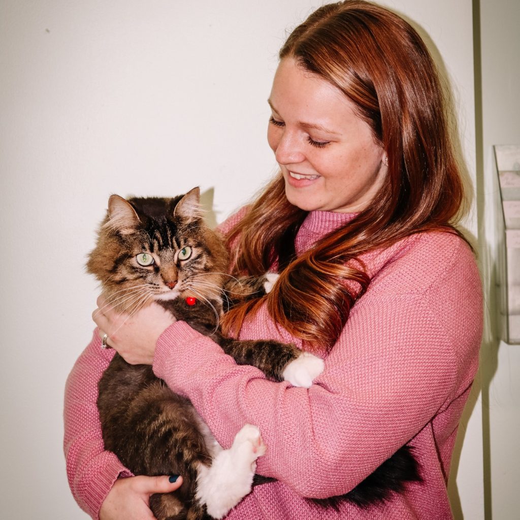 About | Willoughby Veterinary Hospital