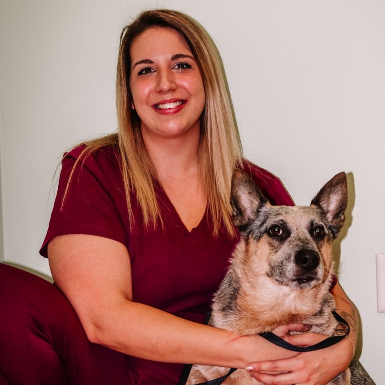 About | Willoughby Veterinary Hospital