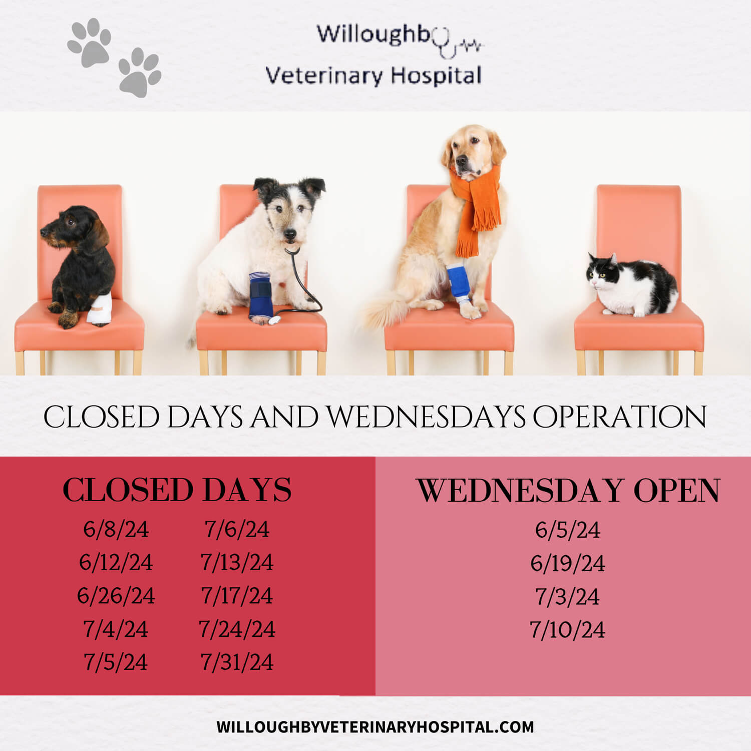 Veterinarian in Holt, MI | Willoughby Veterinary Hospital