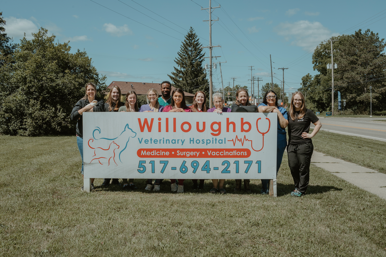 Team | Willoughby Veterinary Hospital