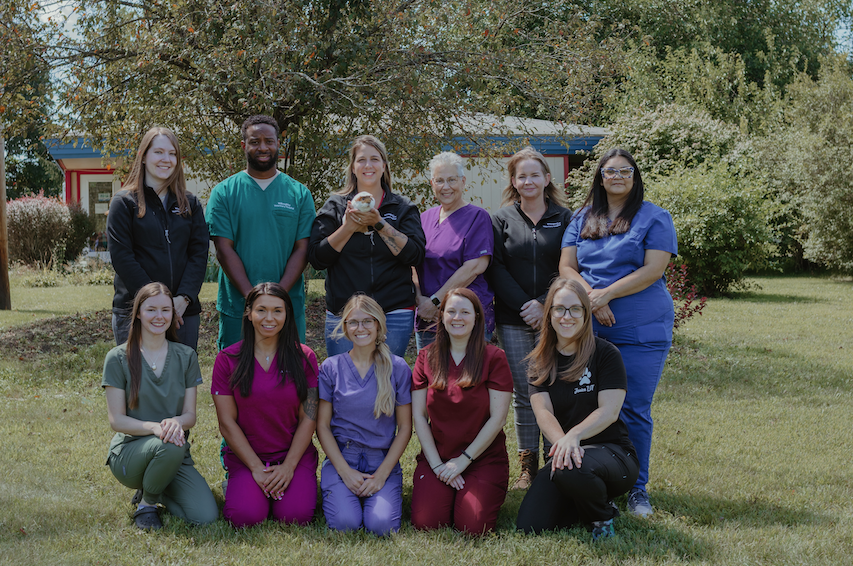 Team | Willoughby Veterinary Hospital